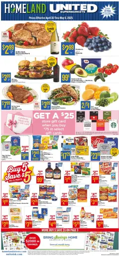 HOMELAND current weekly ads from 04/30/2025 >> grocery ad